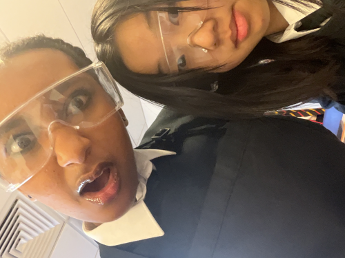 Create a Fine Shyts Tier List - TierMaker