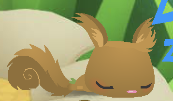 Create a Animal Jam Classic - pet squirrel features Tier List - TierMaker