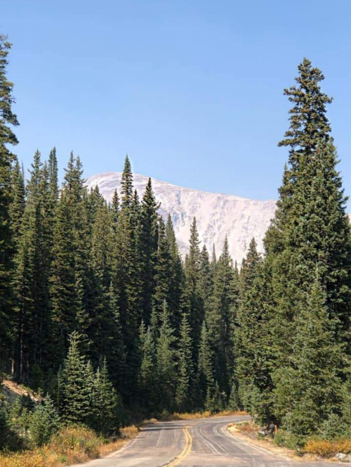 Co Besties Tier List (Community Rankings) - TierMaker