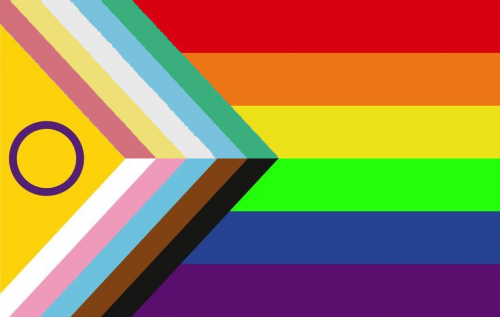 Create a Ultimate Pride Flags Tier List - TierMaker