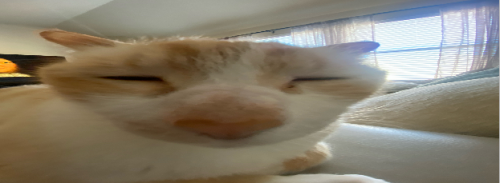 Create a Characters I like ig Tier List - TierMaker