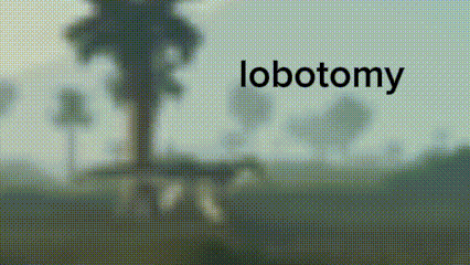 Primal Haven All Assets Tier List (Community Rankings) - TierMaker