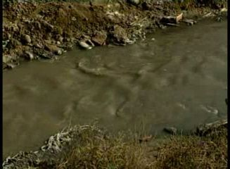 Create a random veci 2 Tier List - TierMaker