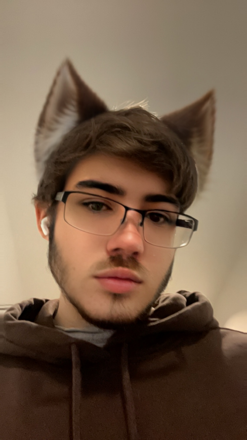 Create a Homeless Hostel Tier List - TierMaker