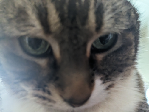 Create a Art Central Mod Tier List - TierMaker