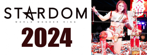 Create a Stardom 2024 Tier List - TierMaker