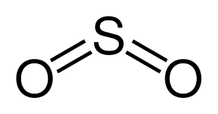 Create a concert acustic 2024 petran Tier List - TierMaker