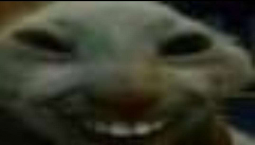 xdd emotes Tier List (Community Rankings) - TierMaker