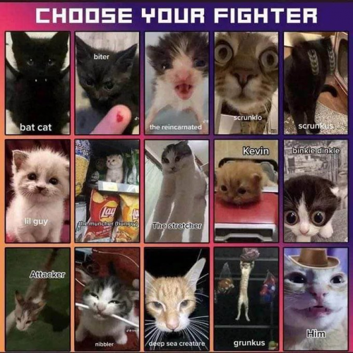 Create a Choose Your Fighter Tier List - TierMaker