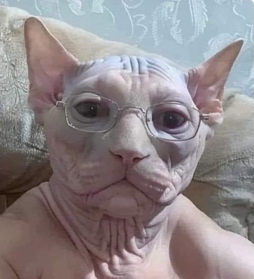 Pinlige Ting Tier List (Community Rankings) - TierMaker