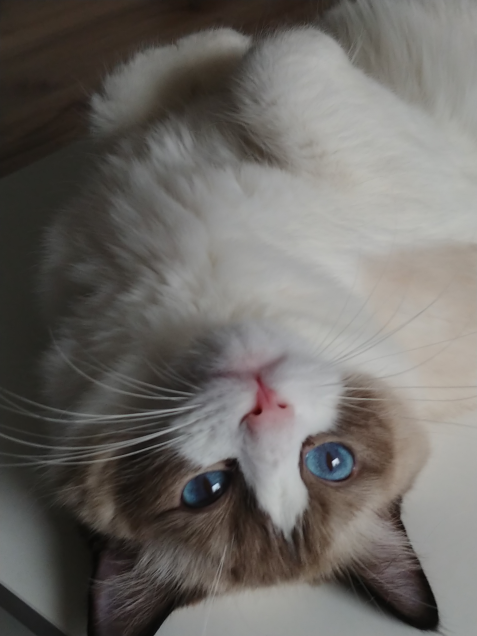 the games Tier List (Community Rankings) - TierMaker