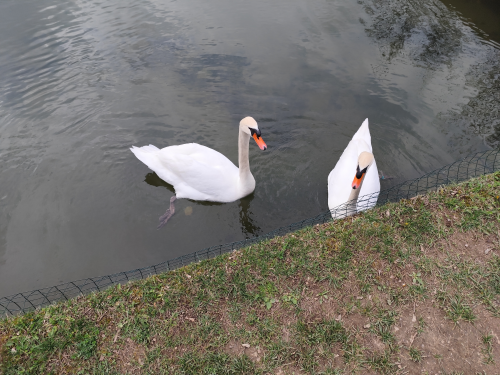 Create a ULC OST Tier List - TierMaker