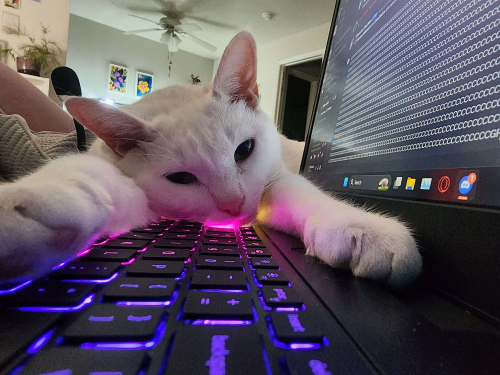 Create a Gang’s Cryptids Tier List - TierMaker