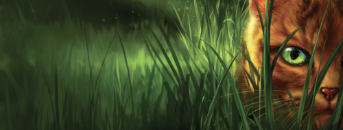 Create a Personnages de LGDC Tier List - TierMaker