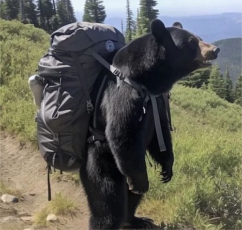 Mickel Hall Tier List (Community Rankings) - TierMaker