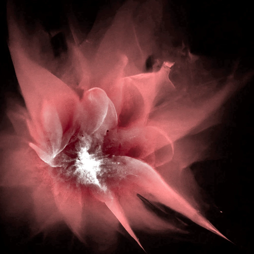 Create a Extended Tiers Tier List - TierMaker