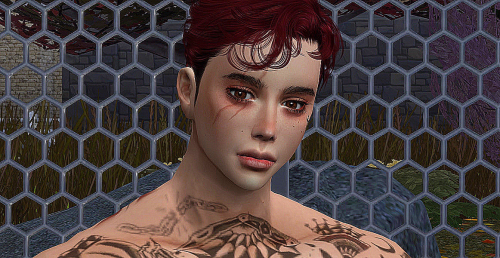 Create a University Tier List - TierMaker