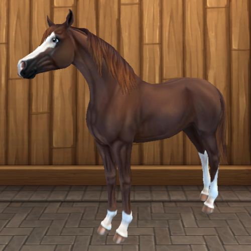 Rank my sso horses Tier List (Community Rankings) - TierMaker