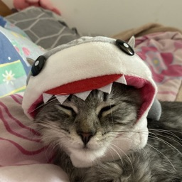 dh scripts Tier List (Community Rankings) - TierMaker