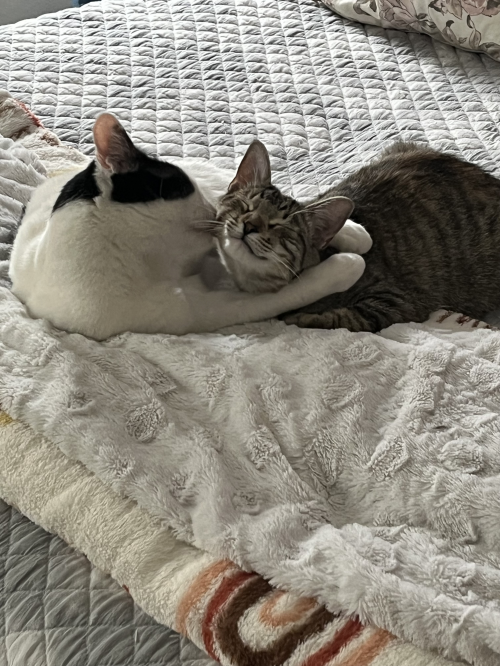 Create a Best Manufacturing Employee Tier List - TierMaker