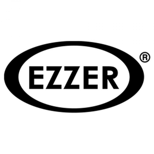 Create a ezzer™ Main Characters Tier List - TierMaker