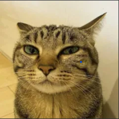 Create a World Stage Power Ranking (updated edition) Tier List - TierMaker