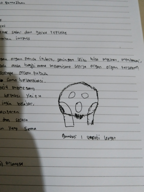 Sirkel aja Tier List (Community Rankings) - TierMaker