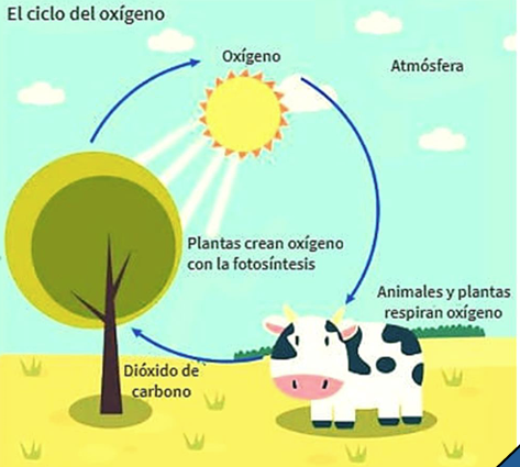 Create a MALITOS PAL LOL Tier List - TierMaker