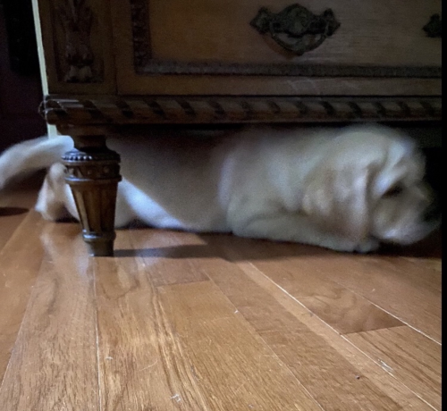 ng cvc part 3 lol Tier List (Community Rankings) - TierMaker