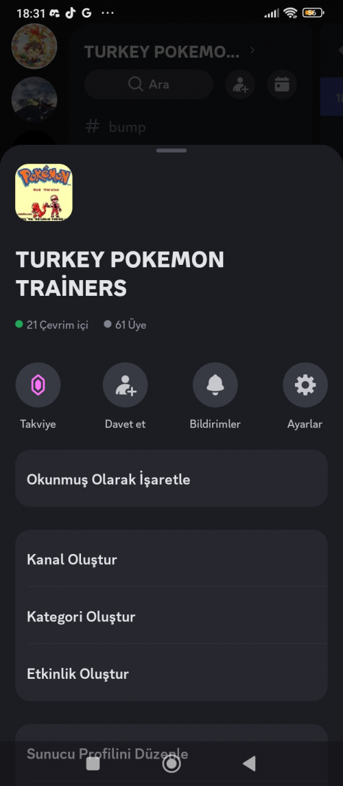 Turkey pokemon trainers sunucusu üyeleri Tier List (Community Rankings ...