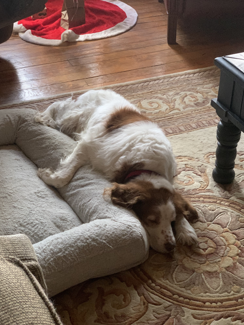 type soul secondaries if they were 𝓯𝓻𝓮𝓪𝓴𝔂 Tier List (Community Rankings ...