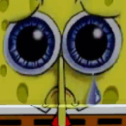 Create a Rat Nation Tier List - TierMaker