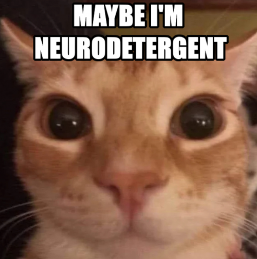 Soul society Tier List (Community Rankings) - TierMaker