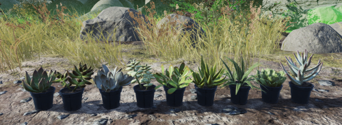 Fallout 76 Potted Succulents Tier List (Community Rankings) - TierMaker