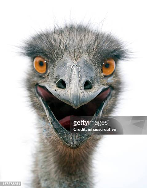 EMA - Tropa de Emissão de Socorro Tier List (Community Rankings ...