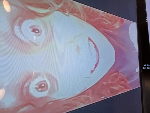 poop Tier List (Community Rankings) - TierMaker