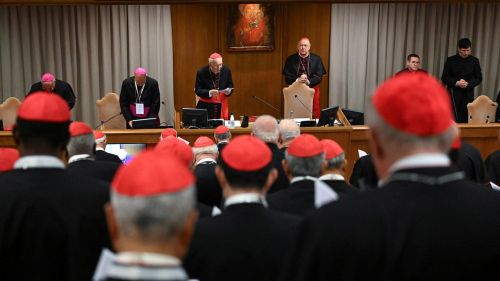 Create a Every Eligible Cardinal for the 2025 Papal Conclave Tier List ...