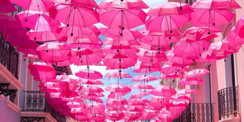 Create a Pink-Haired Anime Characters Ranking Tier List - TierMaker