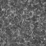 bcwo roles Tier List (Community Rankings) - TierMaker