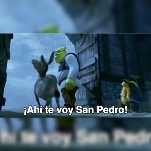 Create a Memes Shrek Tier List - TierMaker