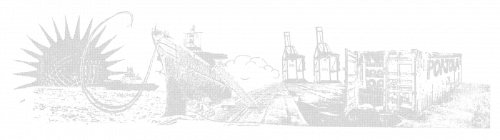 Portola 2024 Tier List (Community Rankings) - TierMaker