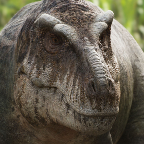Create a Rank Dinosaurs Based on Which Ones You Could Beat in a Fight ...