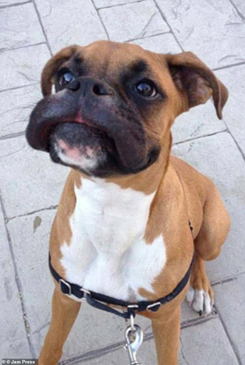 isasc games Tier List (Community Rankings) - TierMaker