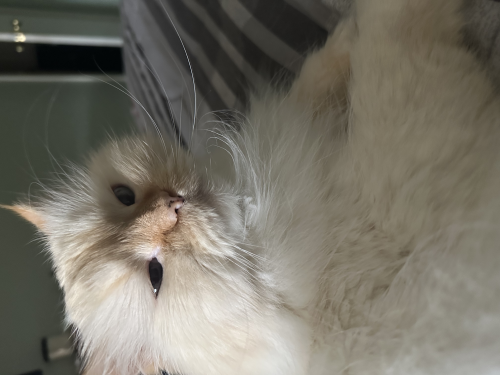 Create a type soul base element tierlist Tier List - TierMaker