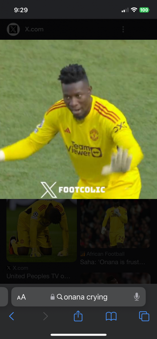 Create a Premier league predictions 24/25 Tier List - TierMaker