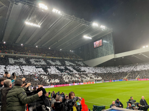 Newcastle United Squad 2023/24 Tier List (Community Rankings) - TierMaker Newcastle United Squad 2023/24 Tier List (Community Rankings) - TierMaker