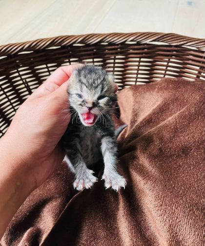 Create a unified interests Tier List - TierMaker