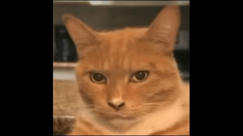 Level of English Tier List (Community Rankings) - TierMaker