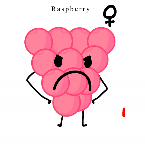 Create a Shiataans BFDI OC’s Tier List - TierMaker