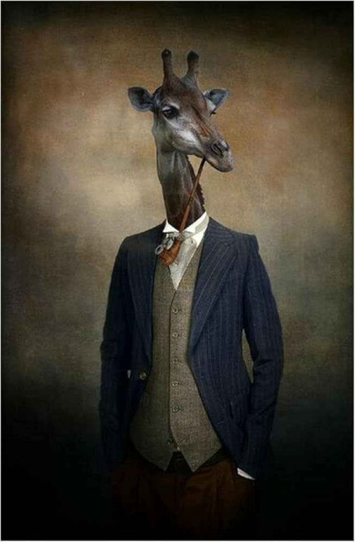 50 More Characters Ranked Tier List Community Rankings Tiermaker